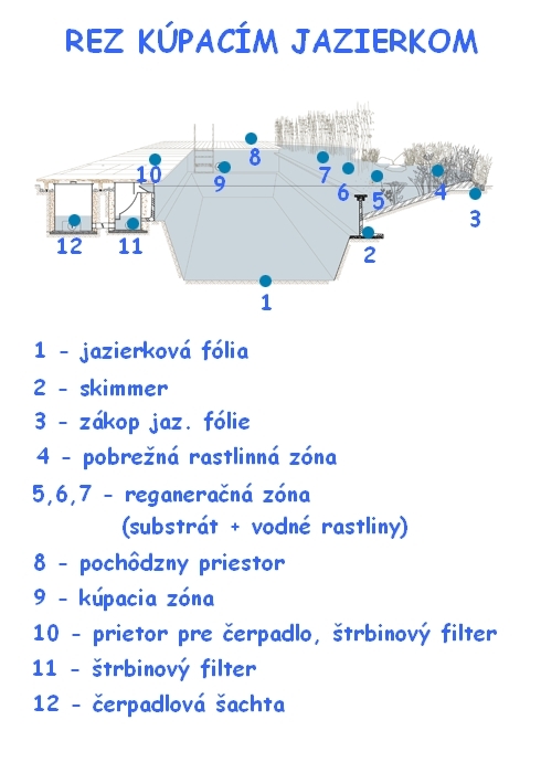 Margoč Koi kapre a záhradné jazierka - Kúpacie jazierka