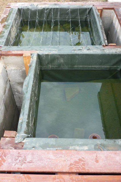 Svojpomocné zhotovenie jazierkovej filtrácie - Blog - Margoč Koi kapre ...